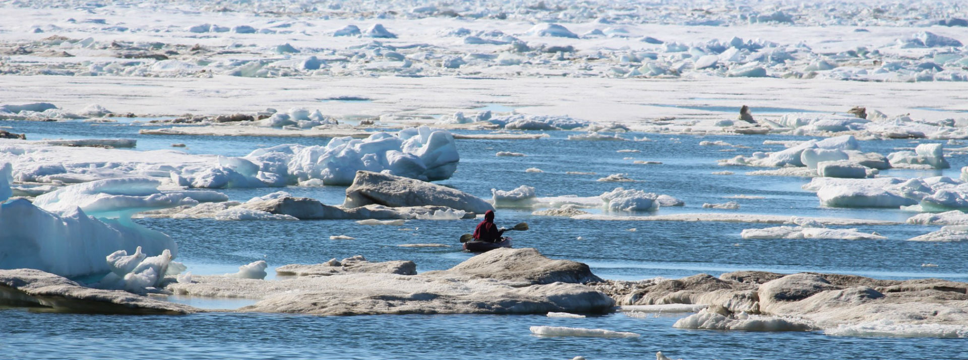 Perspective: A look beyond the Arctic sea ice at vast life-supporting ...