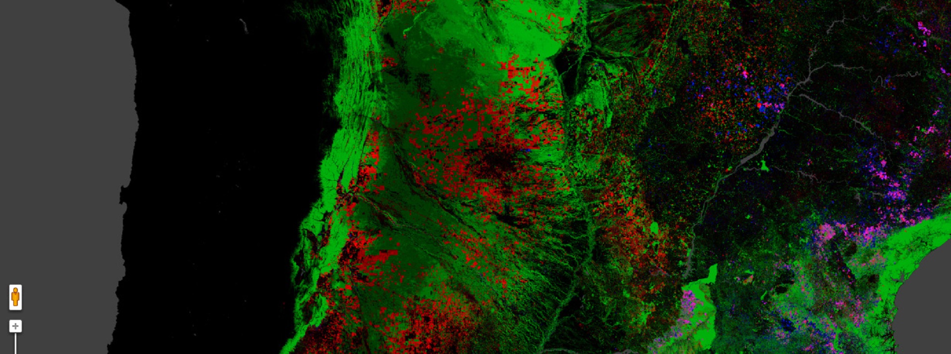 Powered by Google, high resolution forest map reveals massive ...