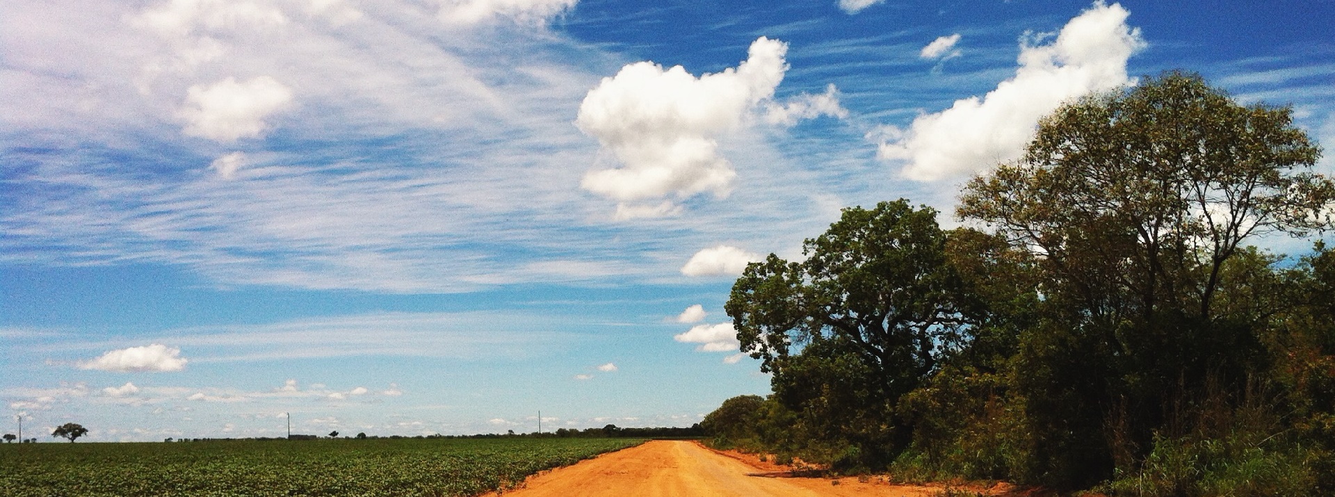 Challenges and opportunities for conservation, agricultural production ...