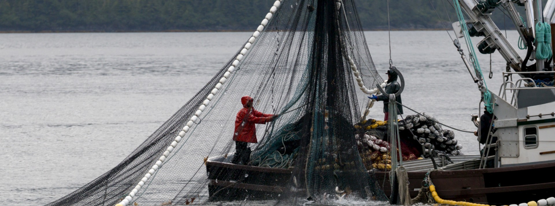 Human rights, healthy oceans