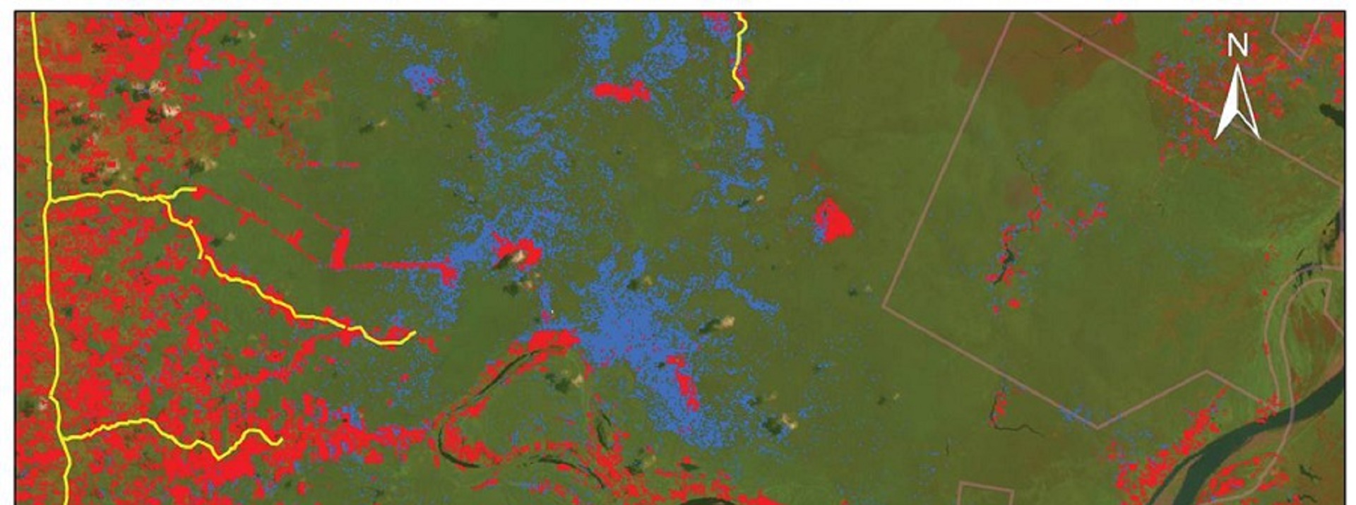 Forest monitoring: bringing the power to the people