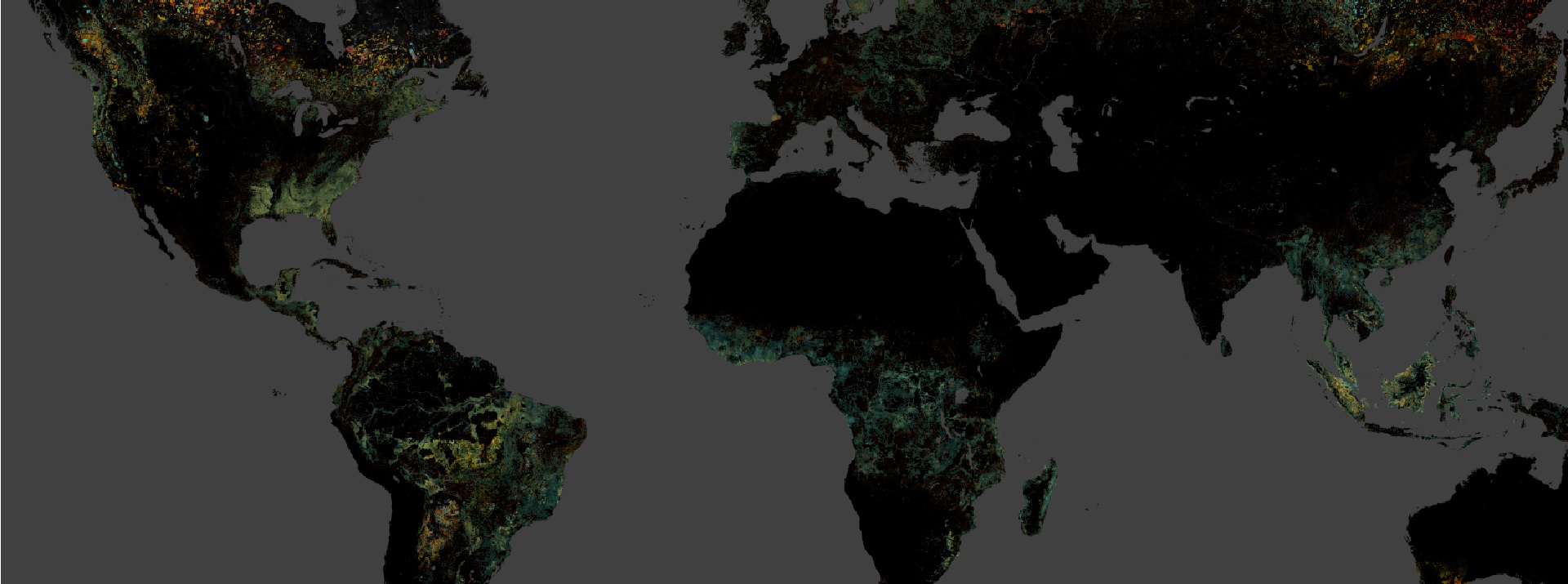 Global deforestation trends mapped at fine scale for the first time