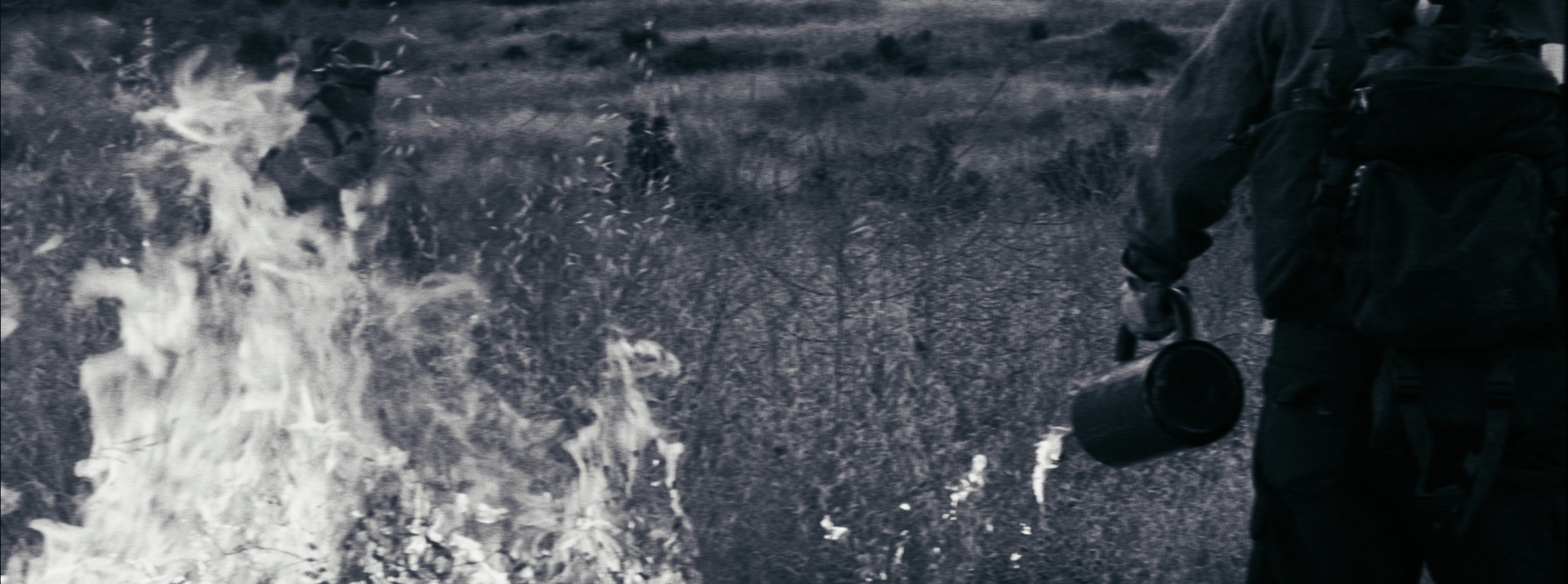 Cultural burning: How this Indigenous practice maintains relationships ...