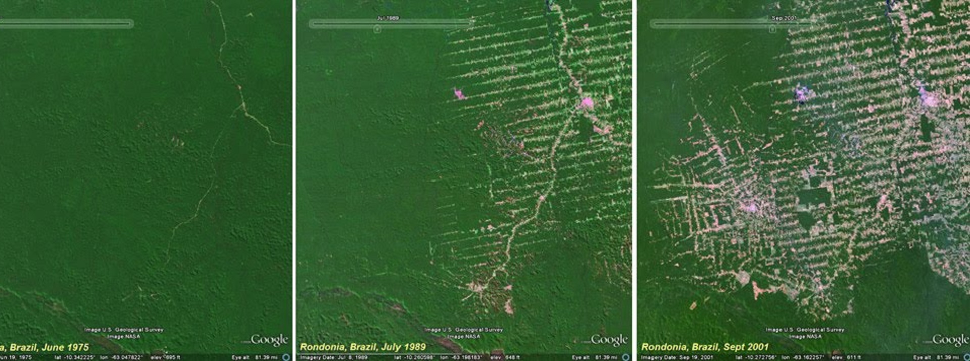 Seeing the forest through the cloud