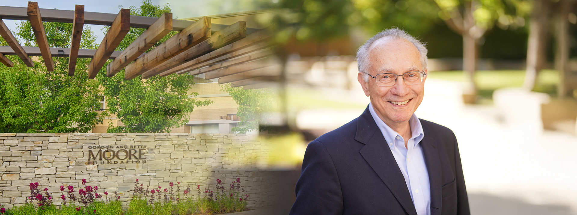 Harvey Fineberg announces plan to step down