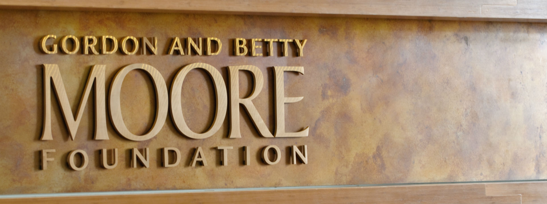 Gordon and Betty Moore Foundation names chief evaluation and learning ...