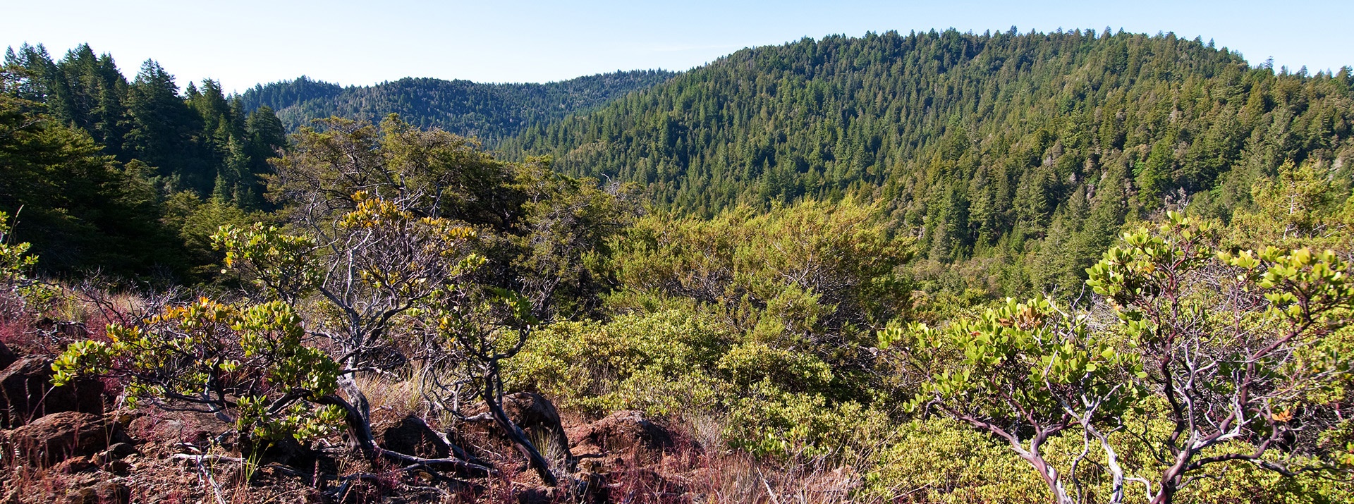 Sonoma Land Trust and LandPaths link up to create Bohemia Ecological ...