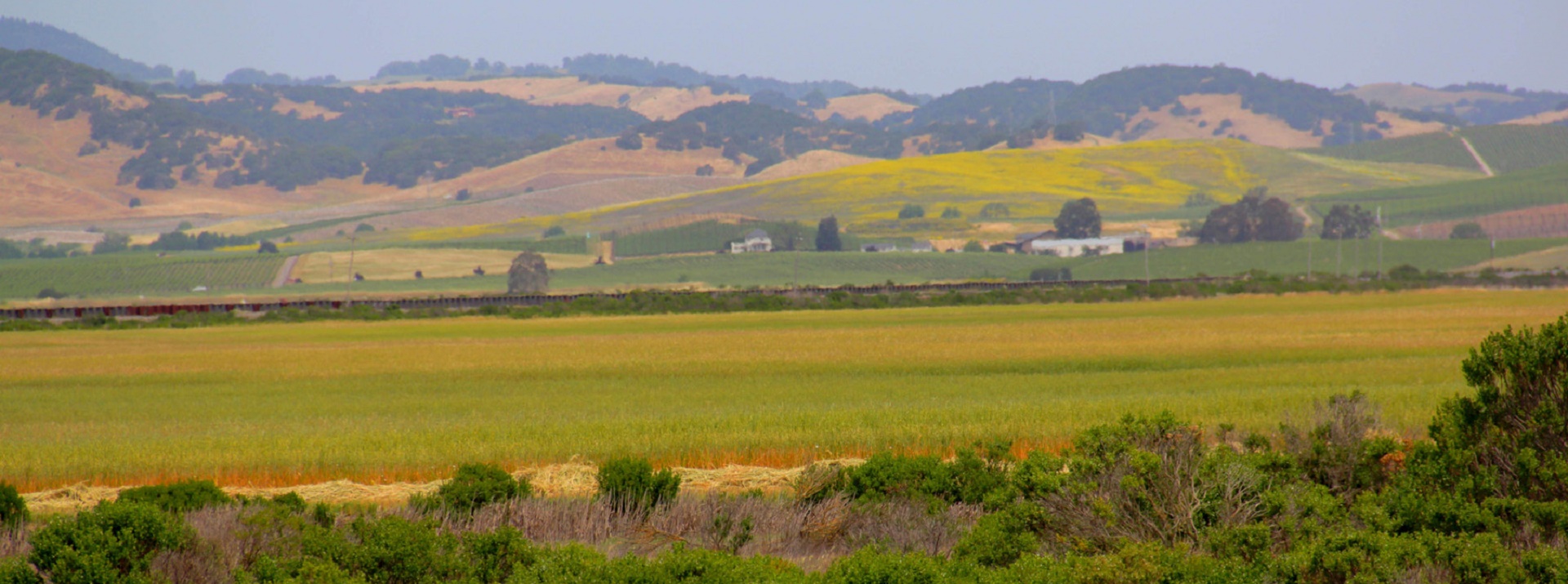 Sonoma Land Trust purchases Haire Ranch on Skaggs Island