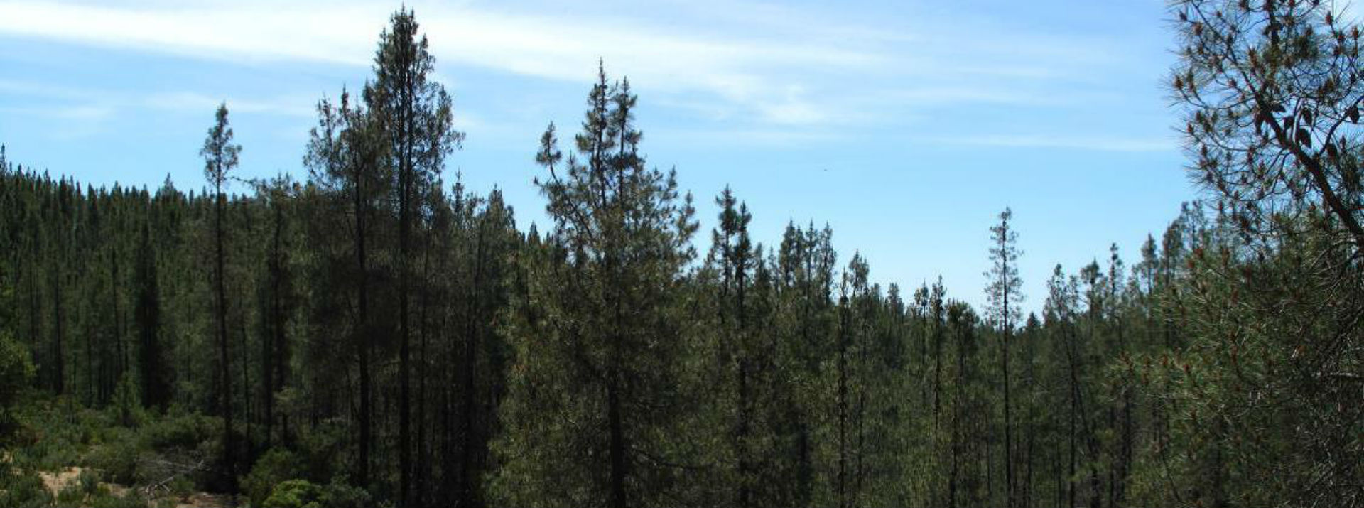 Important conservation of large land area in Napa County