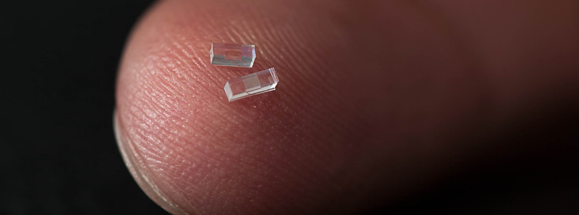 $13.5M awarded to Stanford University and collaborators to advance the ...