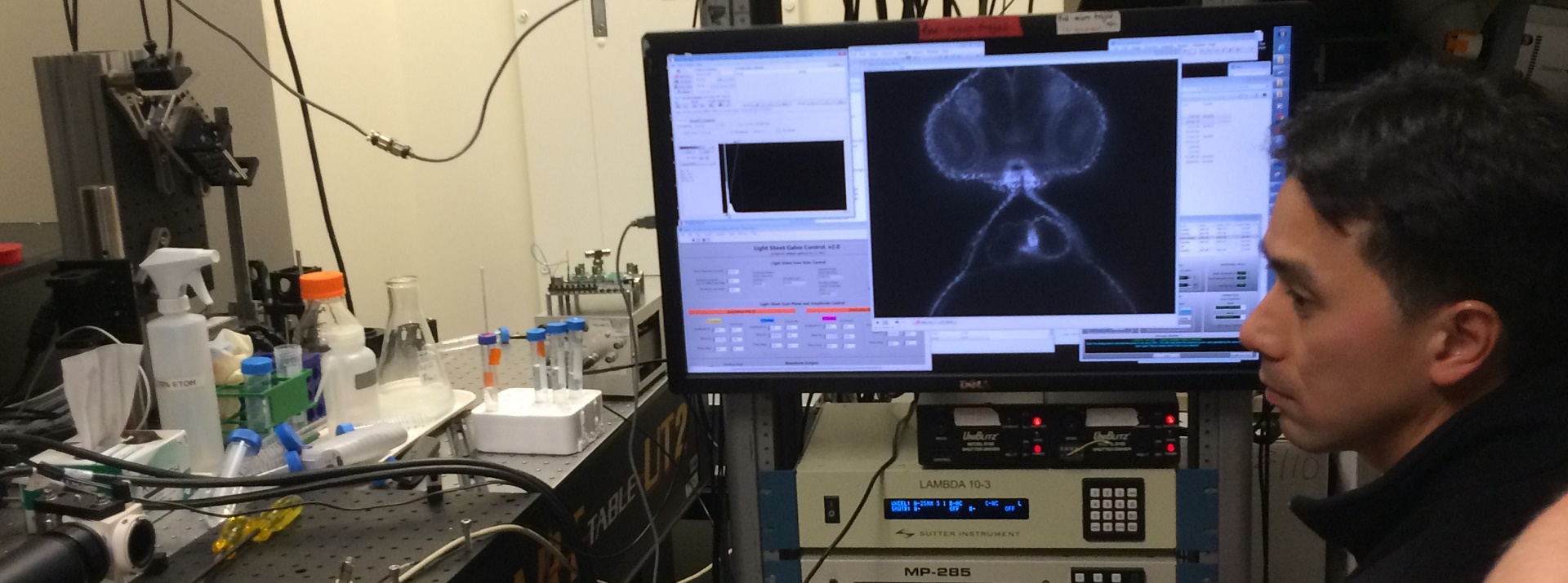 Use of HCR-FISH to track gene expression by both partners during ...