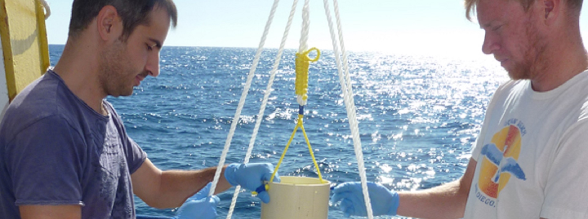 Revealing the secrets of microscopic marine life