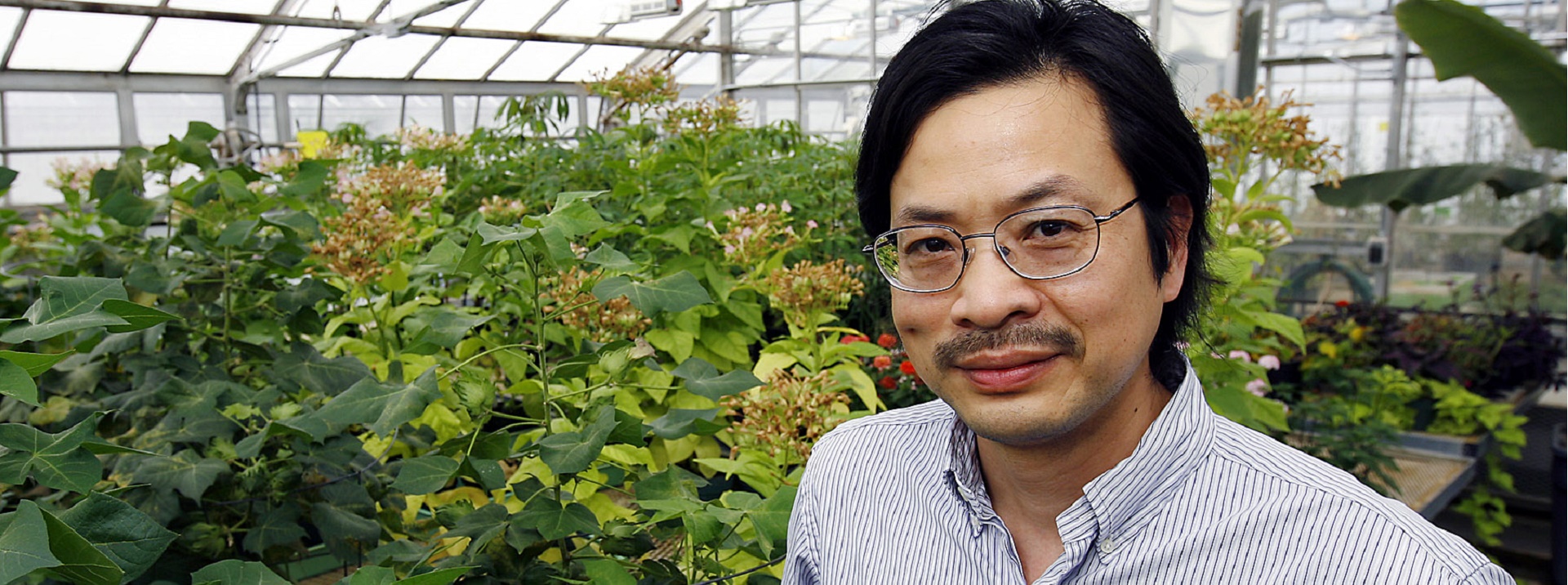 Protecting plants from stealthy diseases