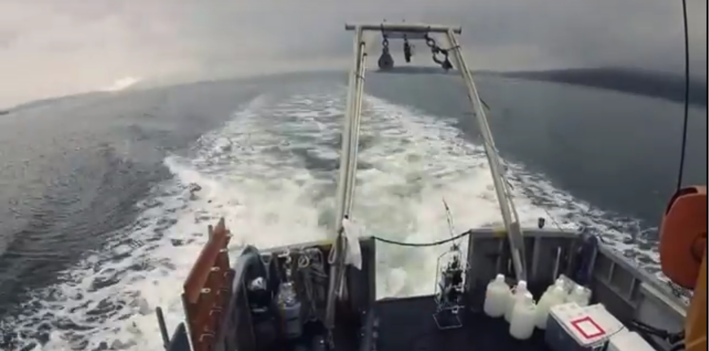 Decoding virus-host interactions in the oxygen-starved ocean