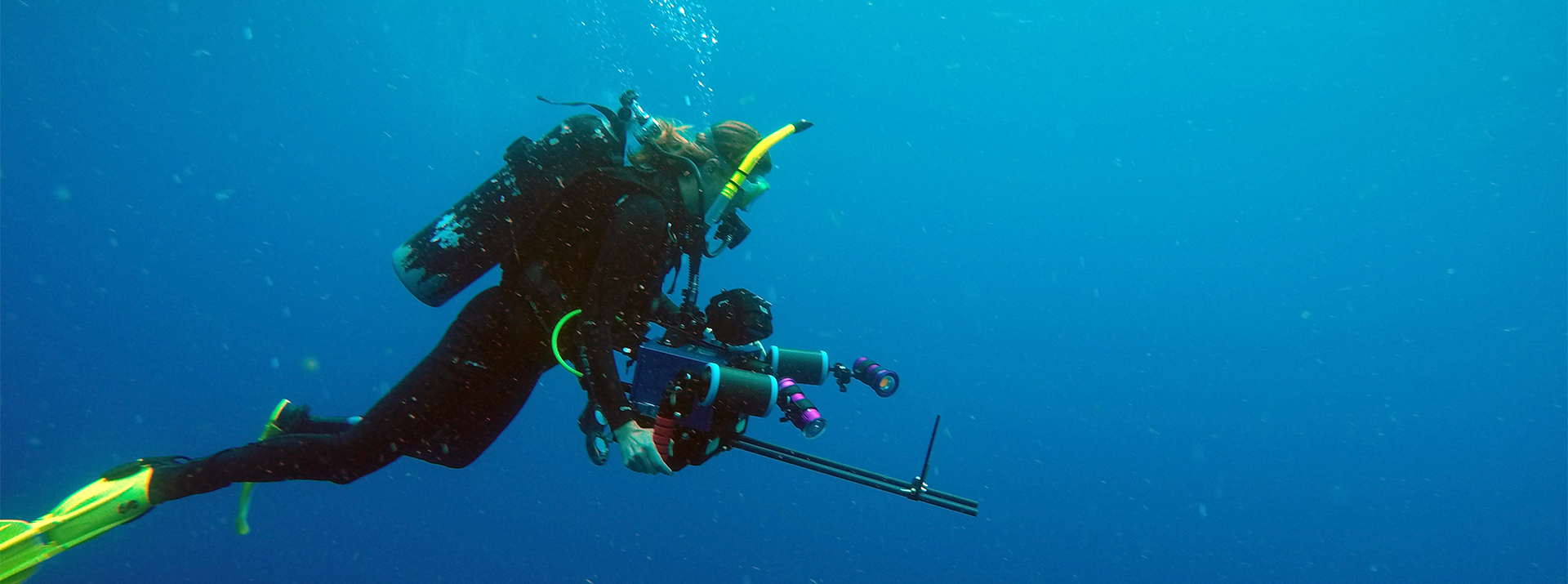 Empowering scientists in aquatic symbiosis