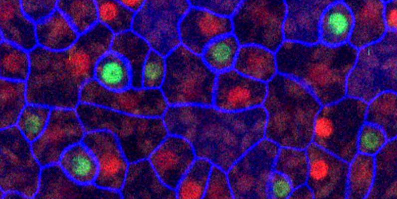 Science | Gordon and Betty Moore Foundation